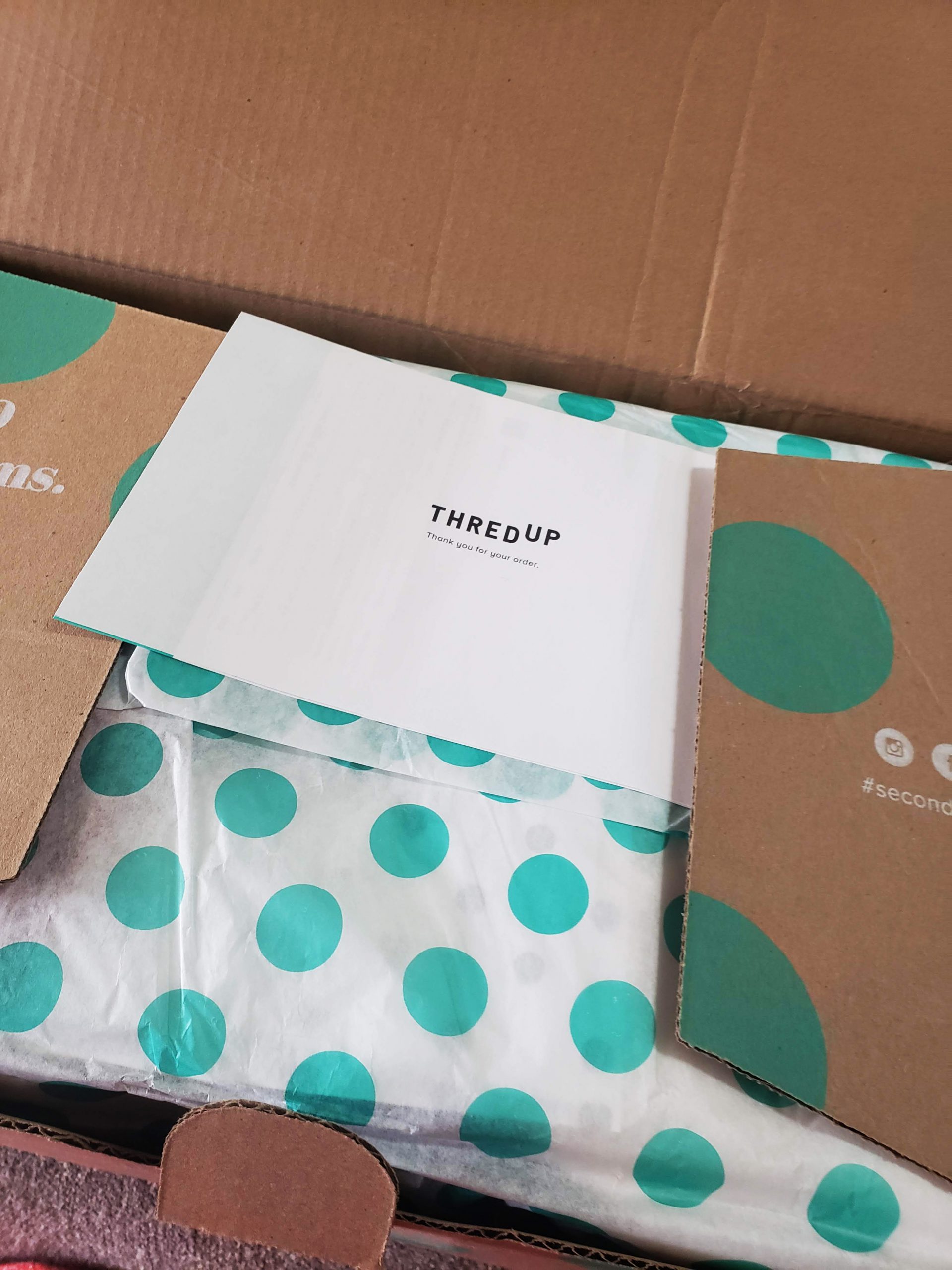 ThredUp Goody Box Review - The Wild Woman